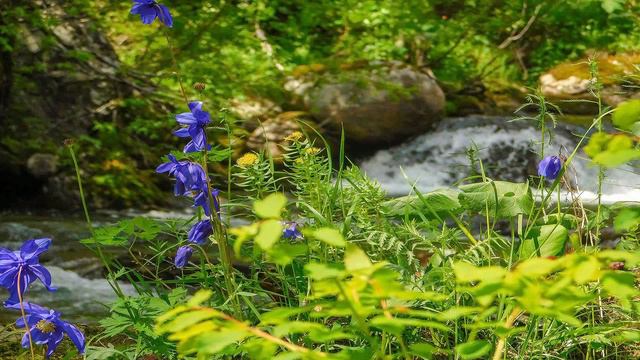 Путешествие в Ергаки 2022г,  Ручей Тушканчик ,часть 3