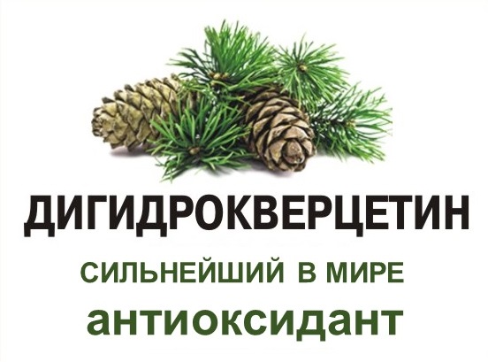 Дигидрокверцетин - сильнейший антиоксидант.
