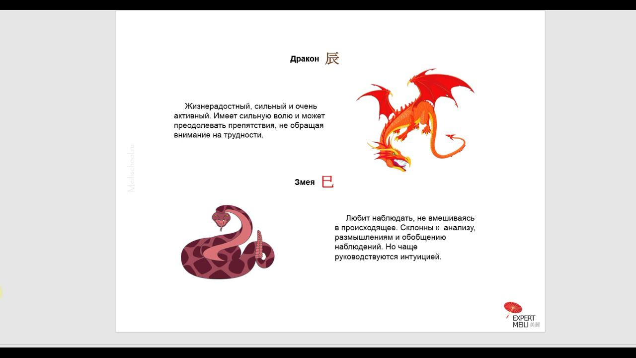 Урок 5 
Земные ветви в бацзы