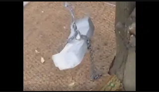 Как сделать блочный тренажер своими руками для дачи