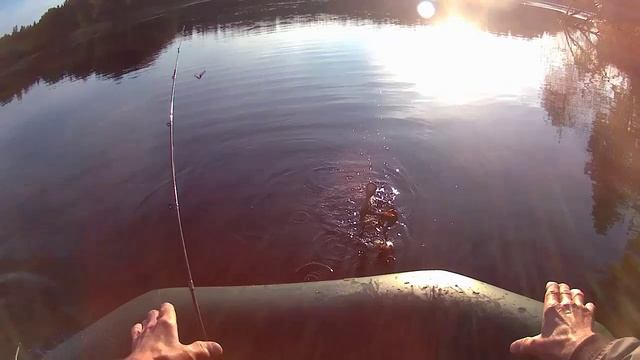 Как ушел мой любимый спиннинг...