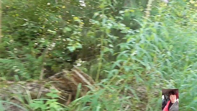 бывший купеческий дом