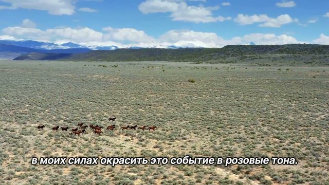 Немного юмора. 12 июня. День за днем в Ал-анон. Ежедневник для созависимых.