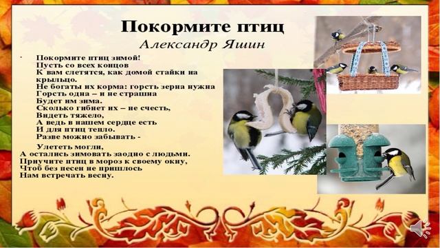 Видео-урок Тема Синичкин день