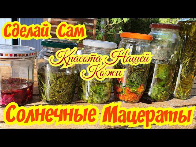 DIY: Солнечные Мацераты (Масляная Вытяжка) Для Красоты Нашей Кожи,Часть 1/Мадам Француженка