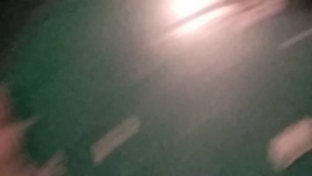 Маленькие песчанки (Часть 1)