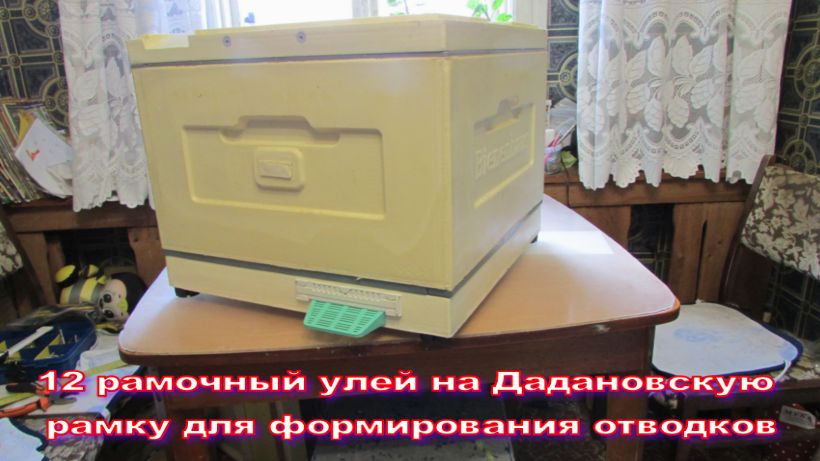 12 рамочный улей на Дадановскую рамку для формирования отводков и облета маток.mp4