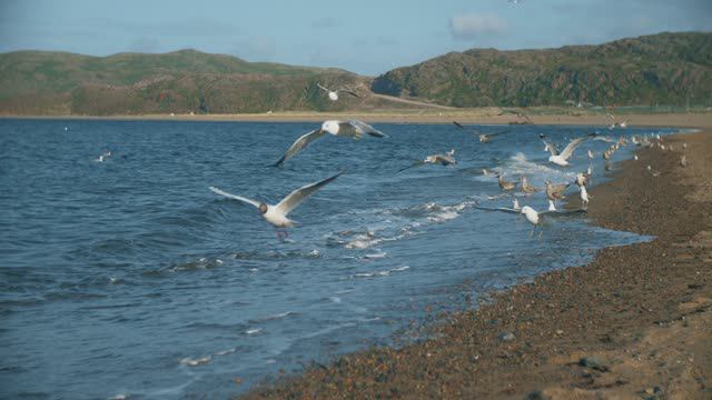 Кольский полуостров