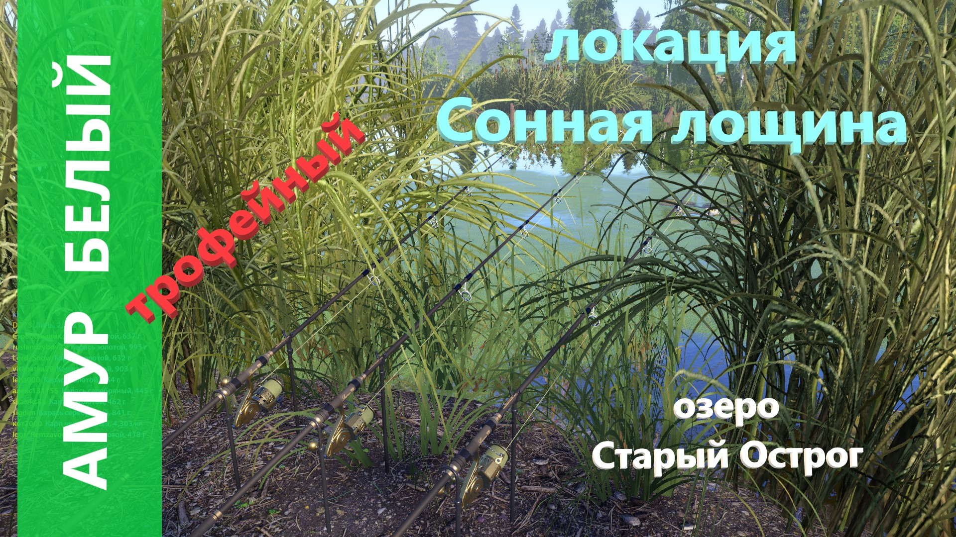 Русская рыбалка 4 - озеро Старый Острог - Амур трофейный белый
