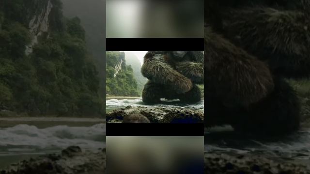 Пилот спрятался от большёй обезьяны ⚕️ Кинконга