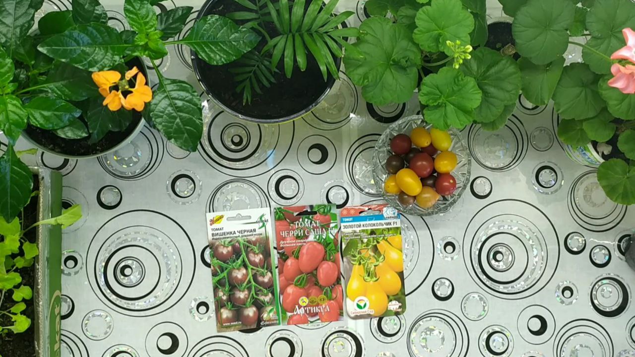 Итог посевного сезона 2022