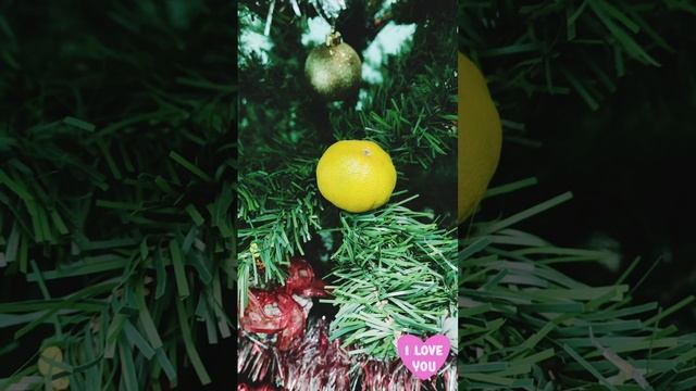 Наряди Ёлочку всем подъездом! Постепенное преображение красавицы!