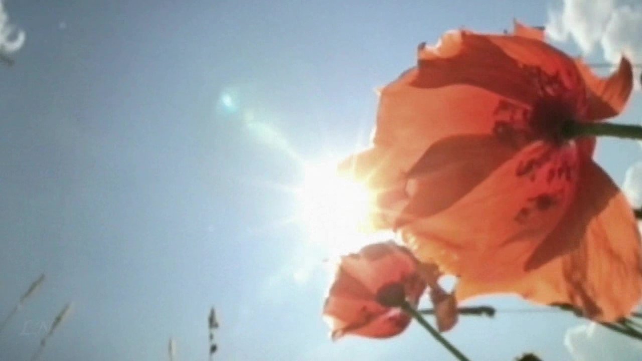 Джон Уильямс -  Просто помнить... - John Williams -Theme From Schindler's List