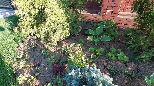 Наш сад. Что Мы создали за год.