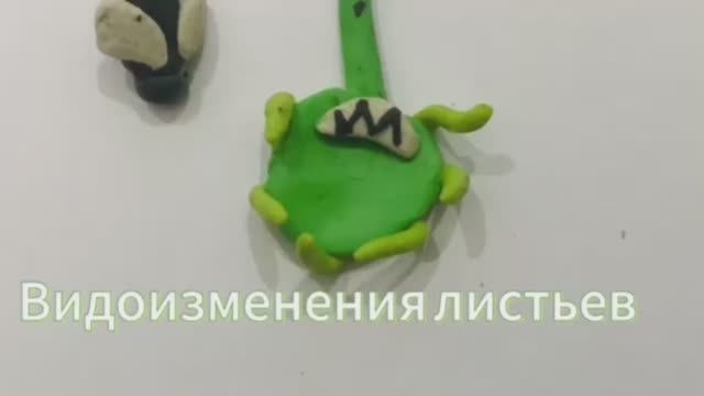 Пластилиновый мультфильм. Видоизменения листьев