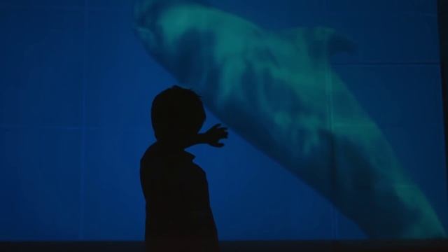 Сказки с органом от фонда Бельканто.