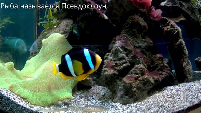 «Экзотариум» - аквариумы в зоопарке