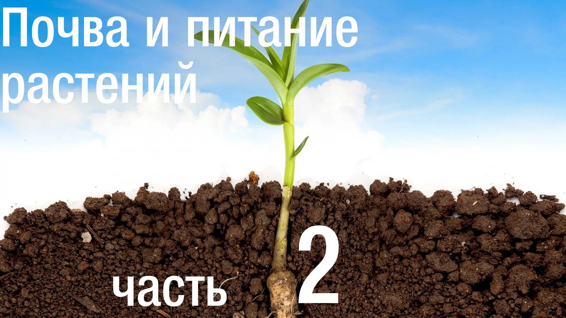 Почва и Питание Растений (часть 2)