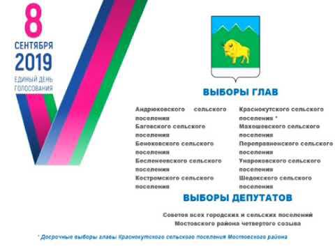 8 сентября 2019 года Единый день голосования