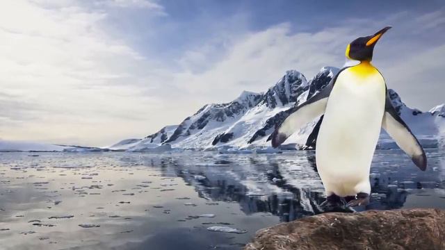 Пифагор Так Ненавидел Бобы, Что Они Его Убили. Парад Фактов 16