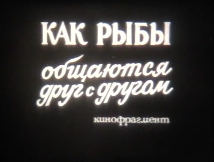 Как рыбы общаются друг с другом