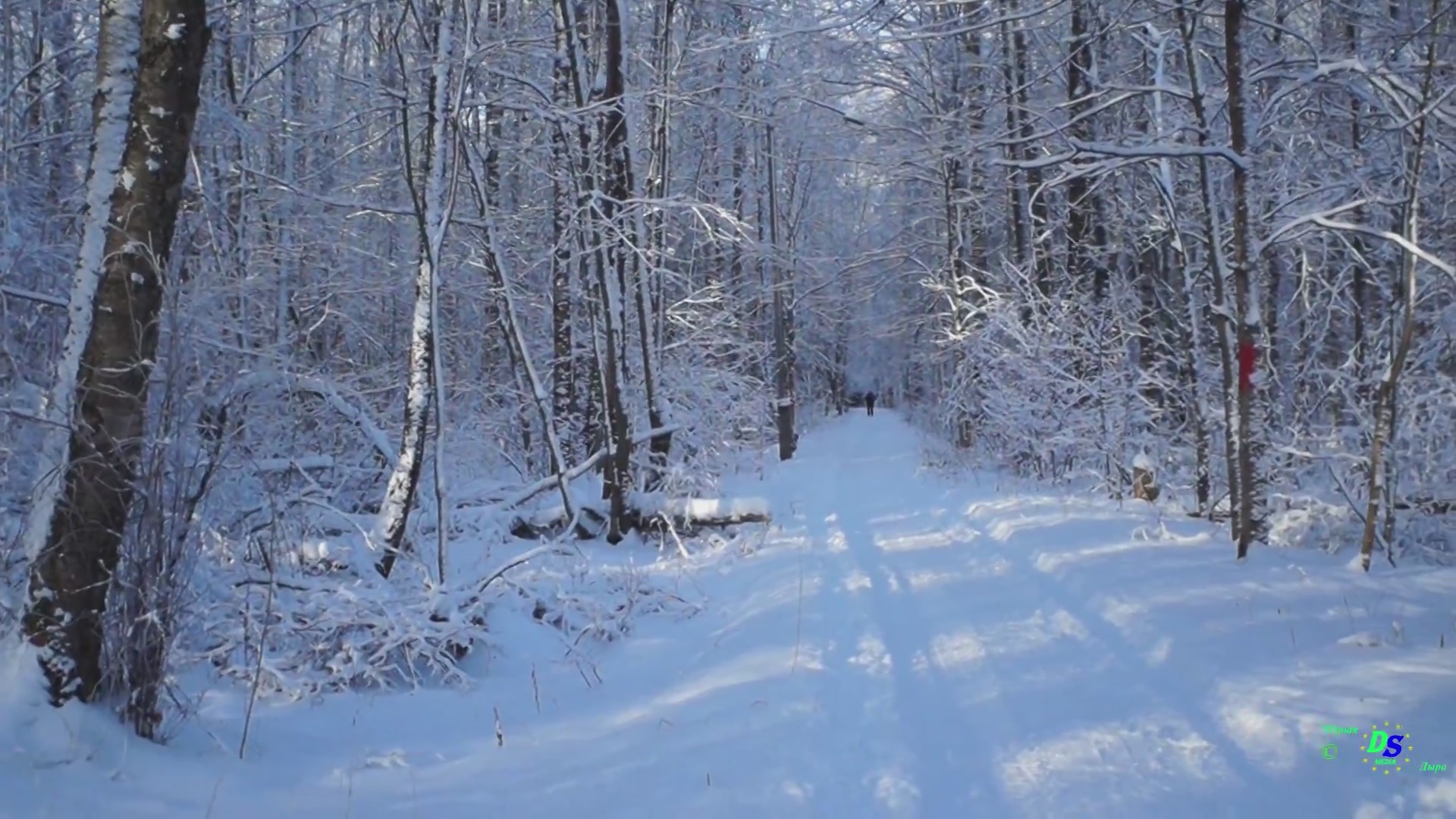 Мороз и Солнце - день чудесный!
