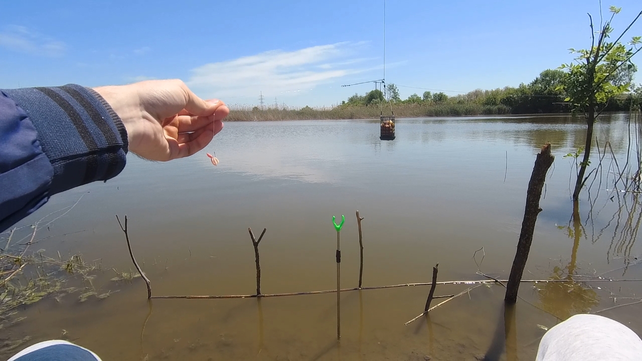 Клёв был хороший, но караси маленькие. Поймал 16 карасиков. Любительская рыбалка. #рыбалка