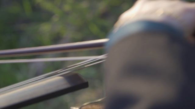 Красивая музыка на Виолончели, для Свадьбы , в Киеве!