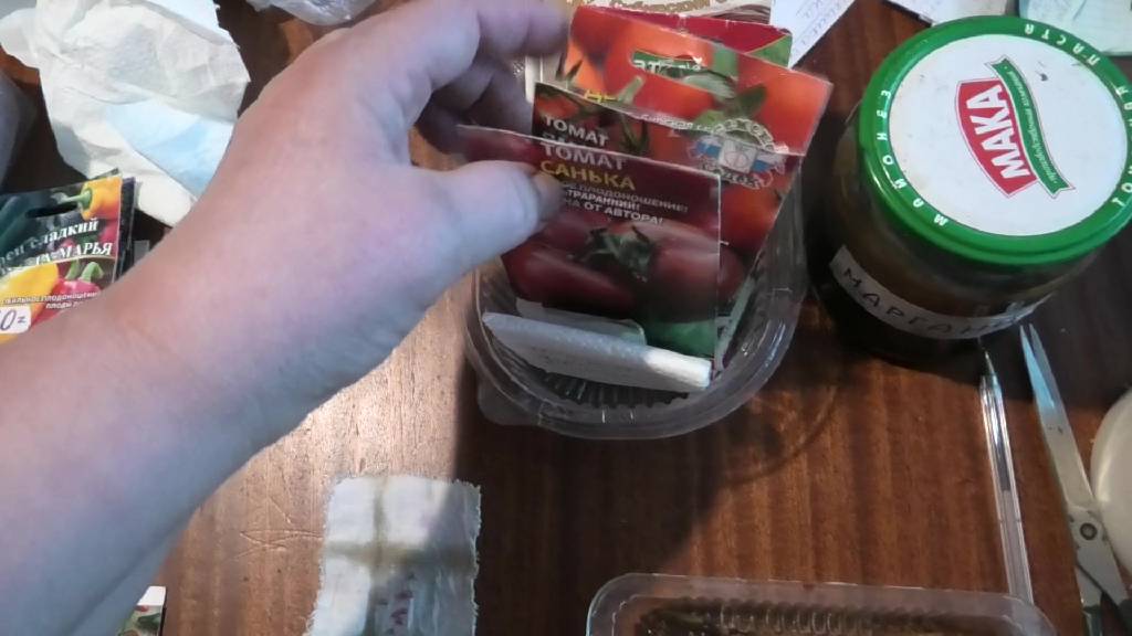 сею томаты и баклажаны,пила jonsar bs 5500.дуб черешчатый 16-26 01 2023г