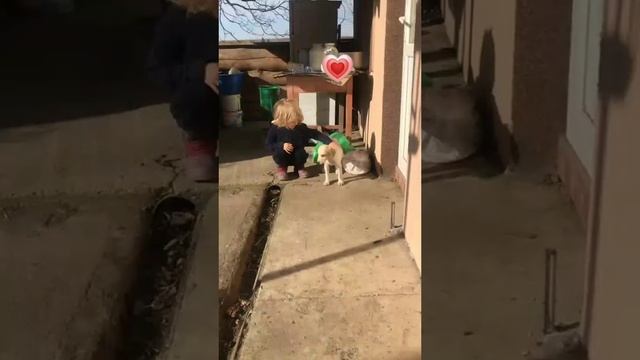 Всем сладеньких снов ☺️??