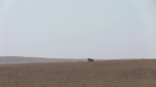 Велосипедный  пробег на Биджу..mp4