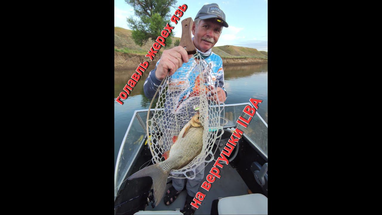 Ловим на вертушки ILBA. Голавль, жерех,  язь.