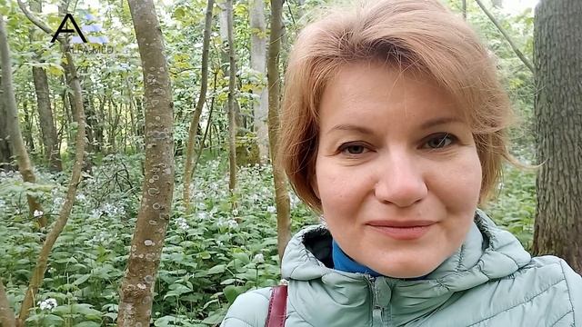 Отзыв покупателя из Великобритании о приборе Сенситив Аудит