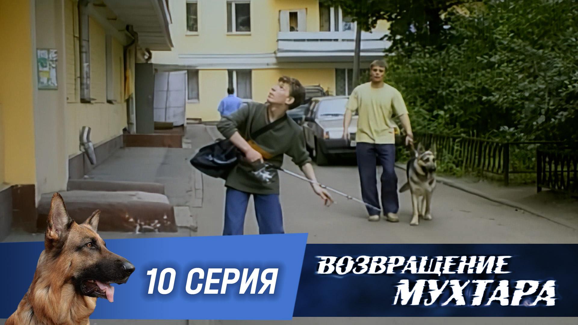 «Возвращение Мухтара»: «Особенности городской рыбалки» (1 сезон. 10 серия)