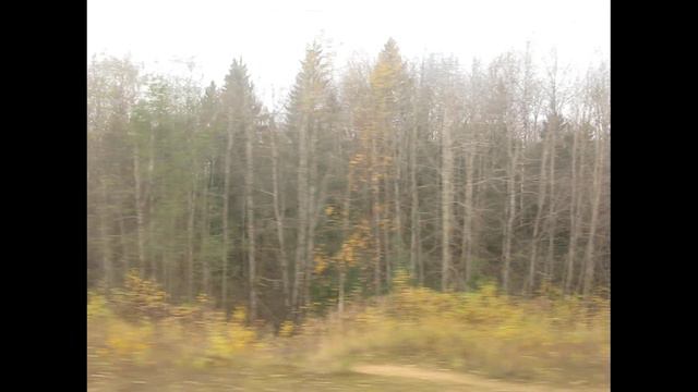 На электричке через Неву