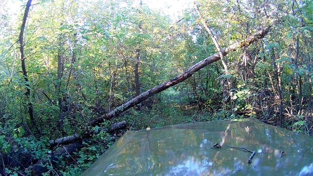 Дорога домой