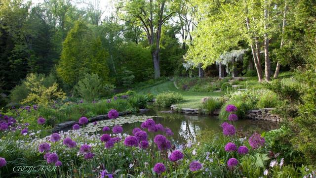 Духовные чтения .../"На Троицу"– Виталий Редько