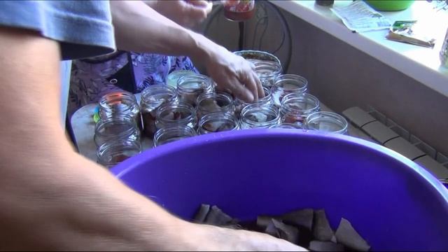 Речная мелочь в ТОМАТЕ.mp4