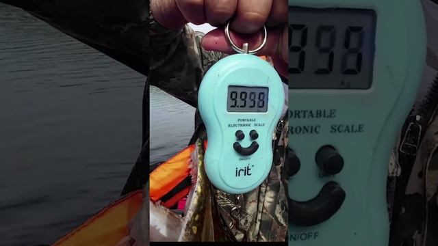 Ловим щуку на спининг