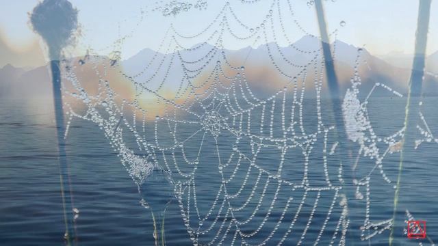 Изречения св. Антония Великаго и сказания о нем часть 25.mp4