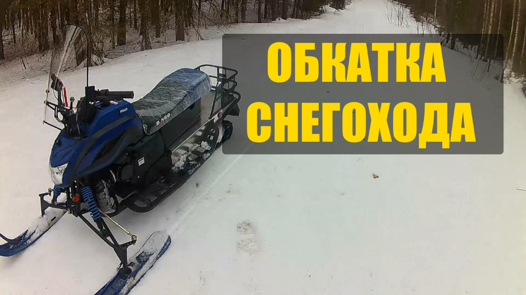 Первая поездка на Динго Т150 в лес. Первый раз застрял.