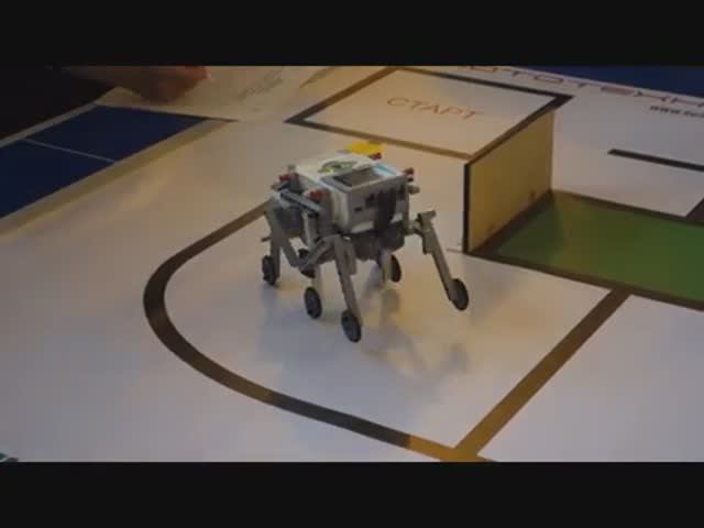 Робофест. МБОУ Каменногорский ЦО