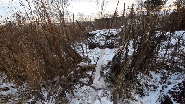 На даче. 27 октября 2022г.