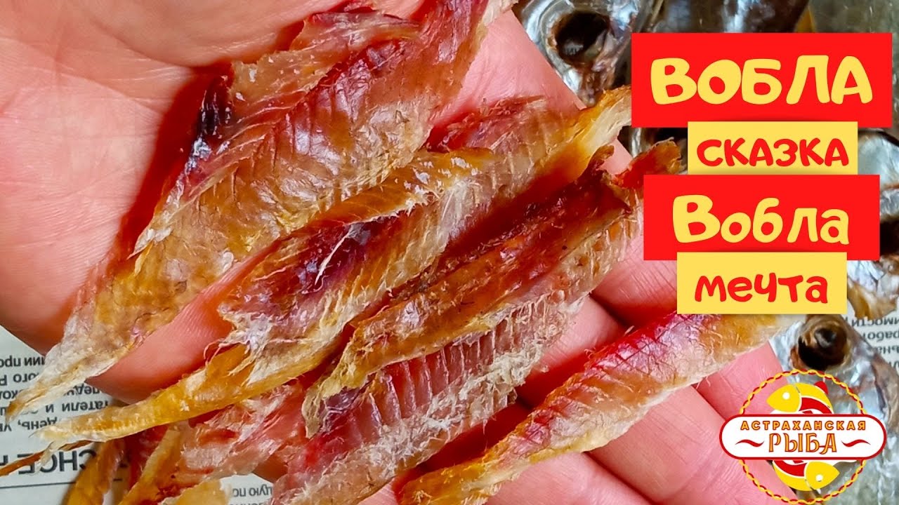 ВОБЛА 2022 АСТРАХАНЬ