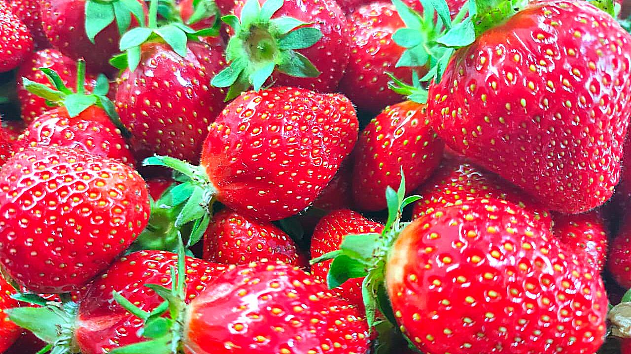 КЛУБНИКА НА ЗИМУ.ЗАМОРОЗКА🍓Ольгины Рецепты.