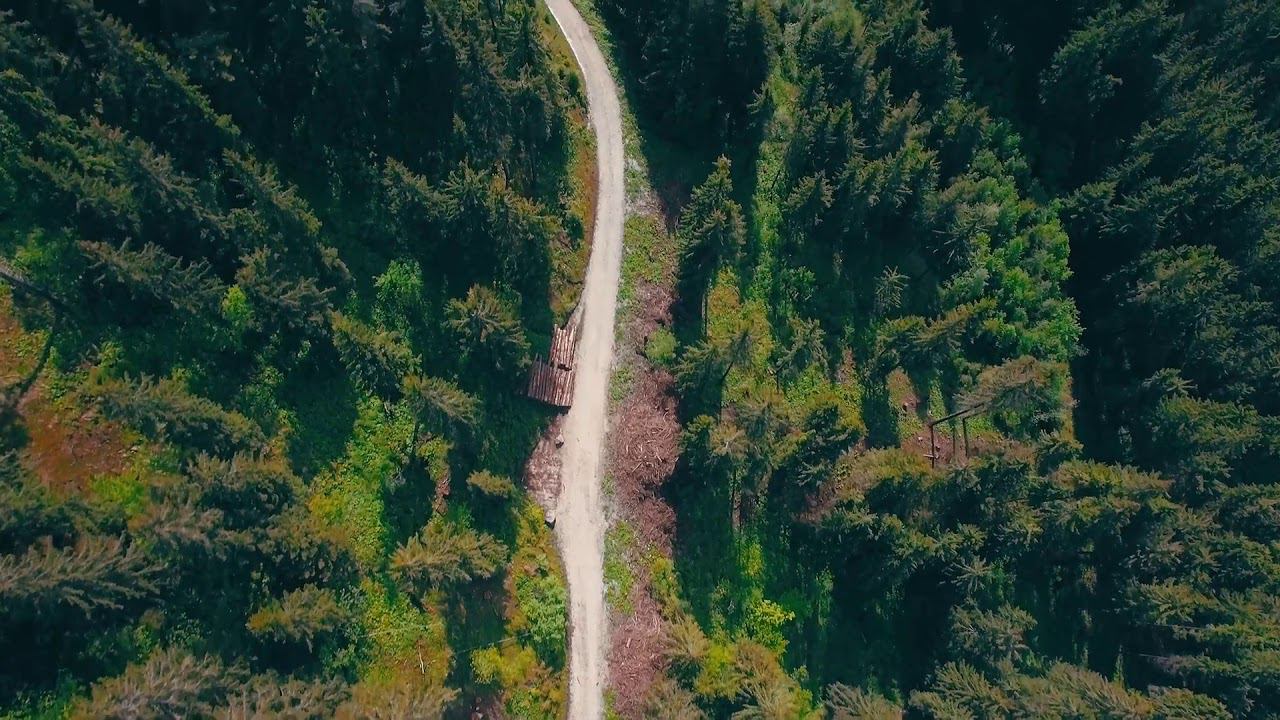 Леса с высоты птичьего полета♻️ [Olga Pak]