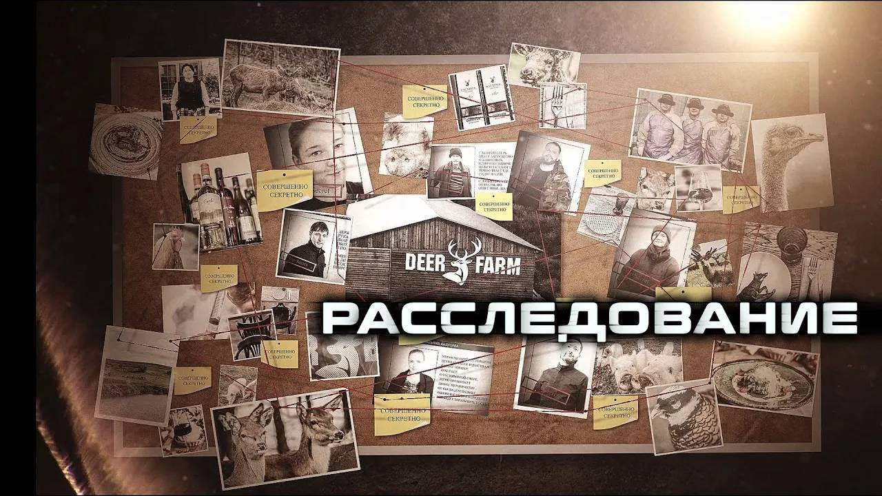 Самое запутанное расследование на оленьей ферме