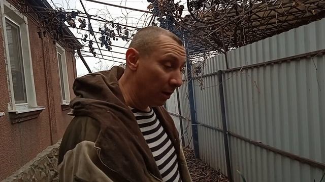 Выходной день. .Прогулка. Купили рыбу - а там...