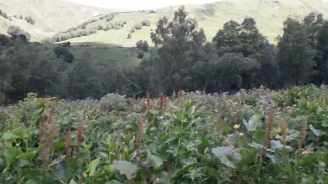 Кавказские ГОРЫ. Восхительный АРХЫЗ. Восхождение на Софийские водопады.