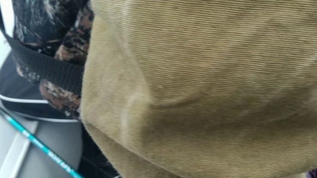 Шука в подсаке.